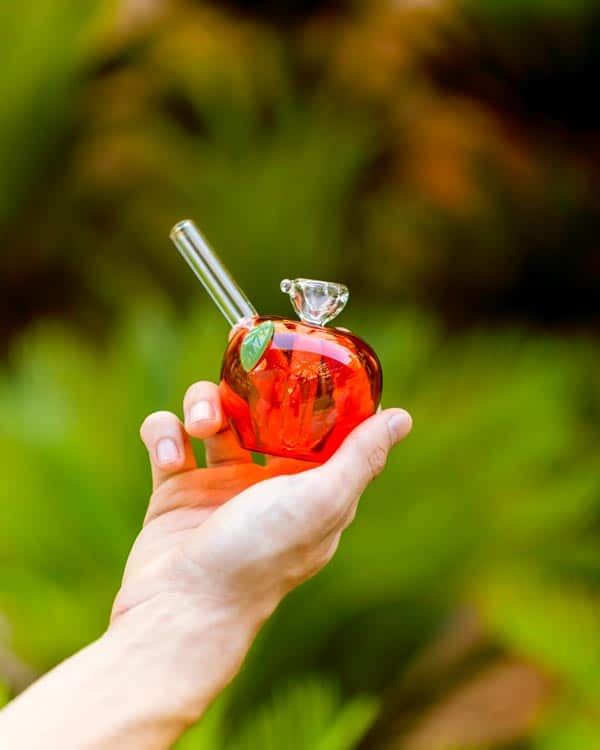 Glass Apple Water Bong | Glass Fruit Bongs | Cannabox