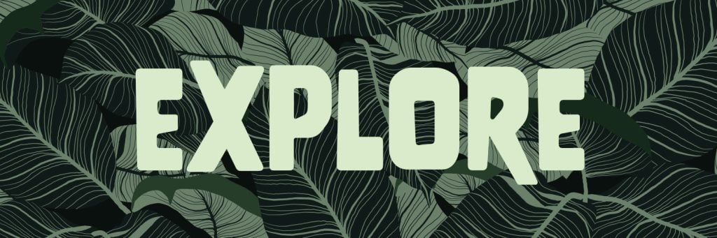 Weed Box Subscription Monthly Themes | Cannabox